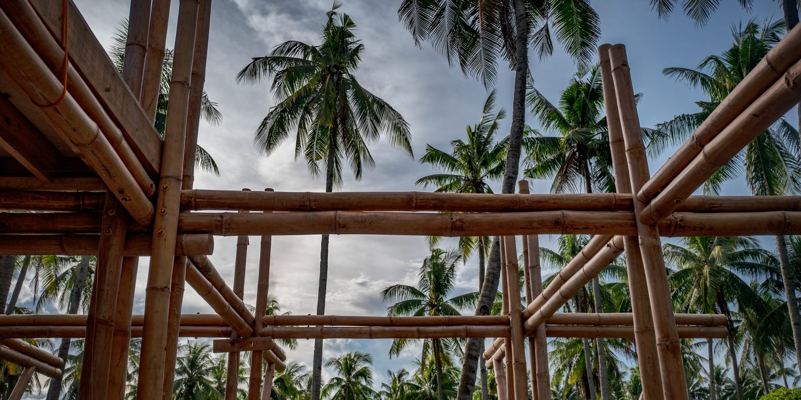 Bamboo construction benefits